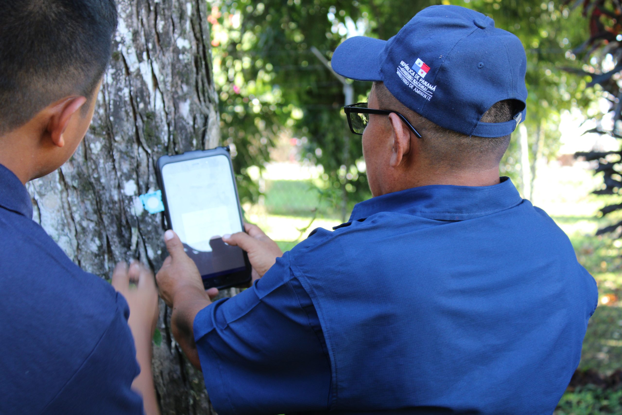 Inicio - Red por la Madera Legal